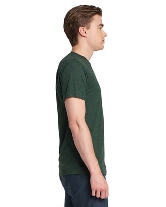 Next Level 6010 Triblend Crew